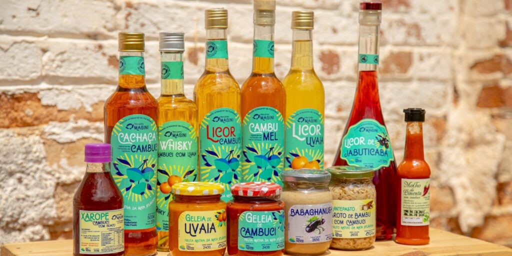 14ª Edição do Festival do Cambuci em Parelheiros acontece neste fim de ...